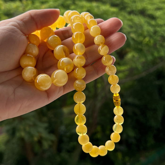 SE0061 — Sens Essentials