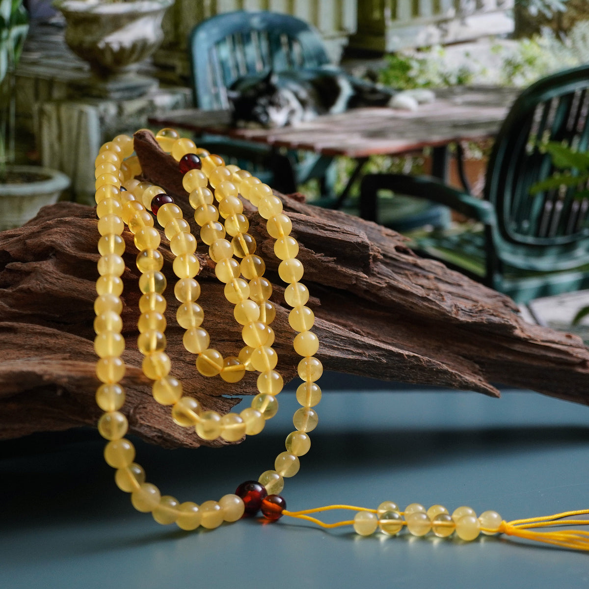 SE0569 — Sens Essentials